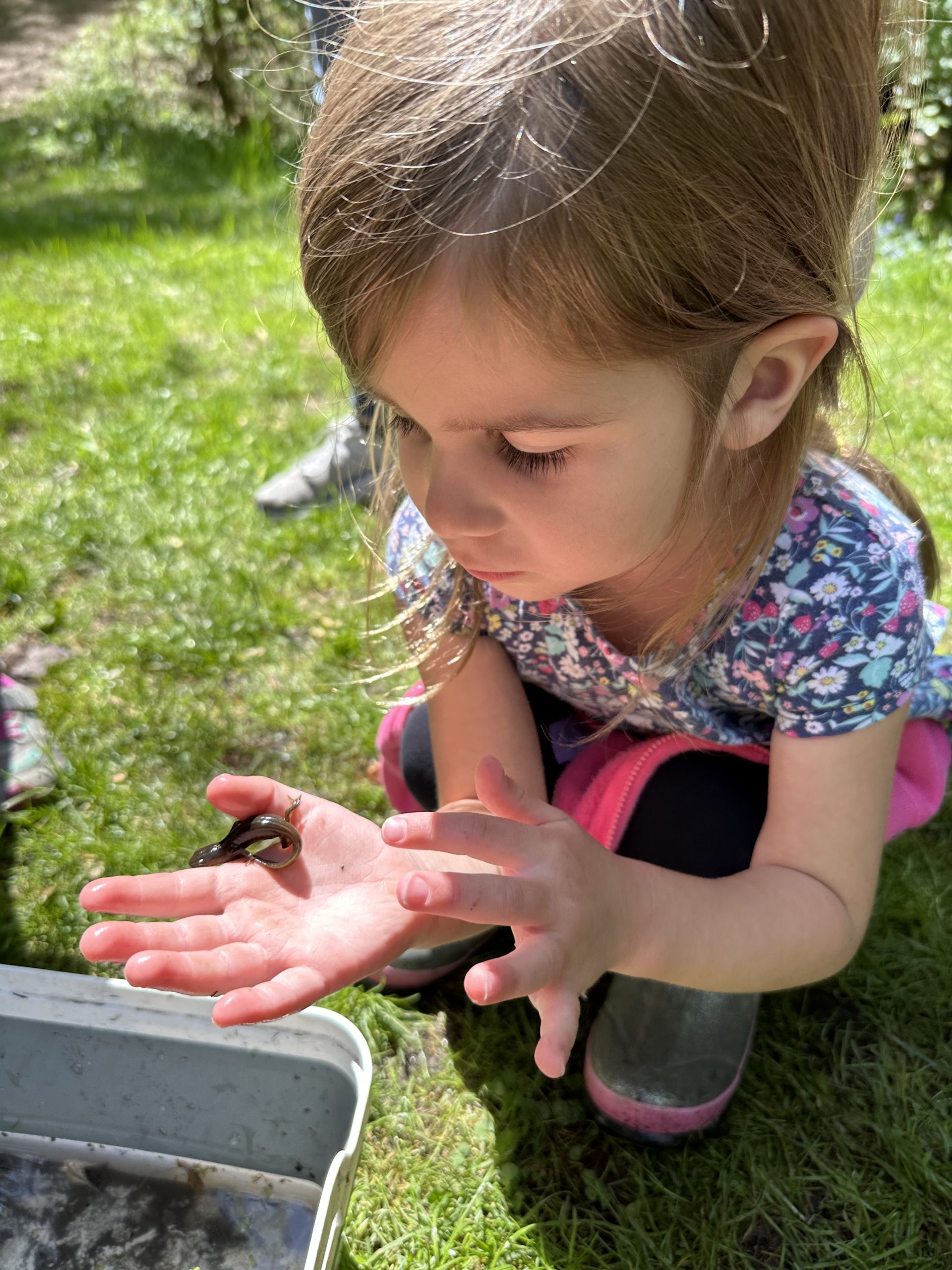 News | Norma Johnson Center