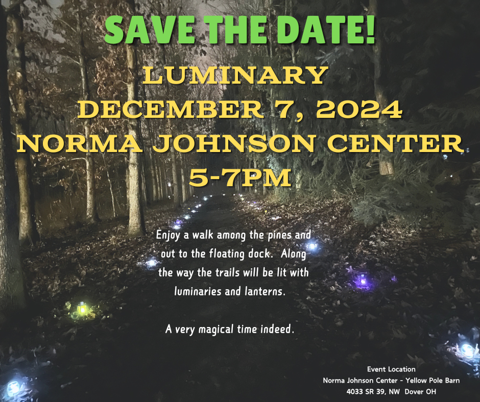 2024 Luminary at the Norma Johnson Center | Norma Johnson Center