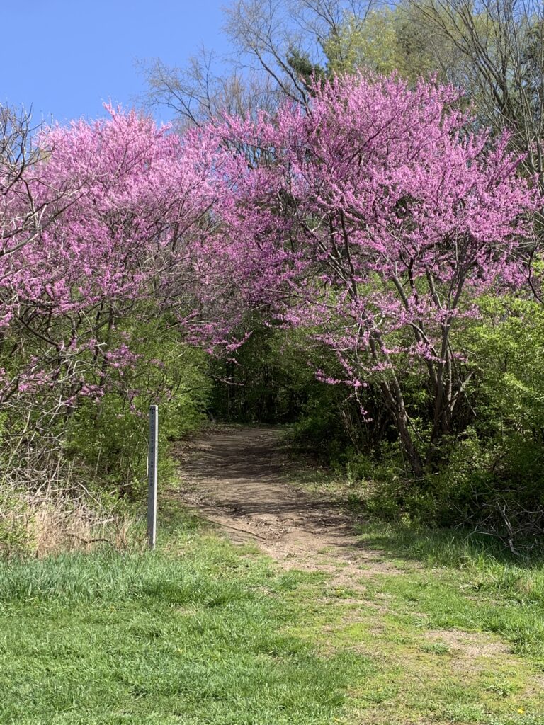 Home | Norma Johnson Center